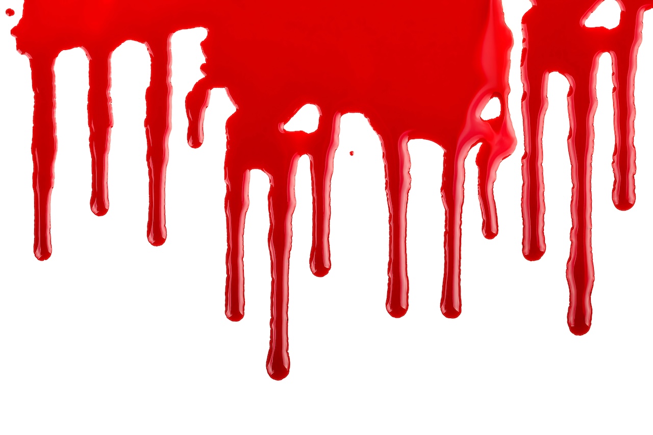 Types of bleed that you may find on your pet to learn how to treat it